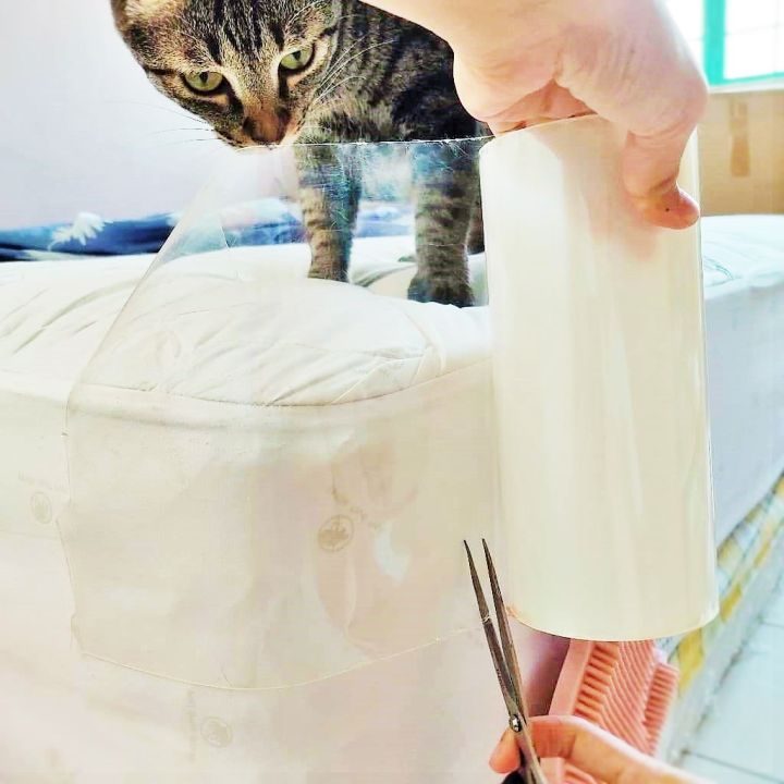 (NEET NEKO) Sofa Protector/ Anti-scratch Furniture Protection Sticker ...