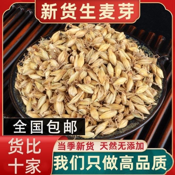 Barley tea Barley Malt Invigorating Spleen Appetizing Tea Chinese ...