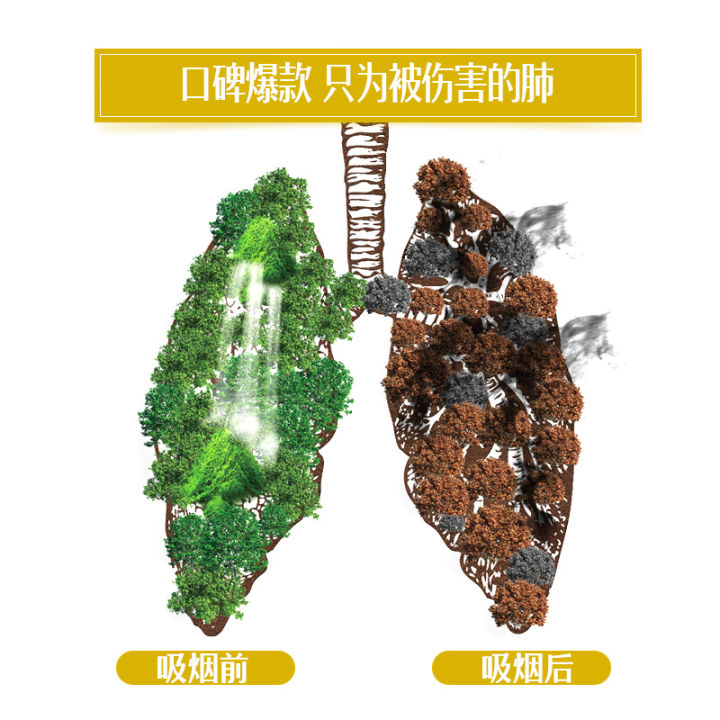 Swansea lung protection swssie Qingfei tablets swisee Qingfei swiss ...