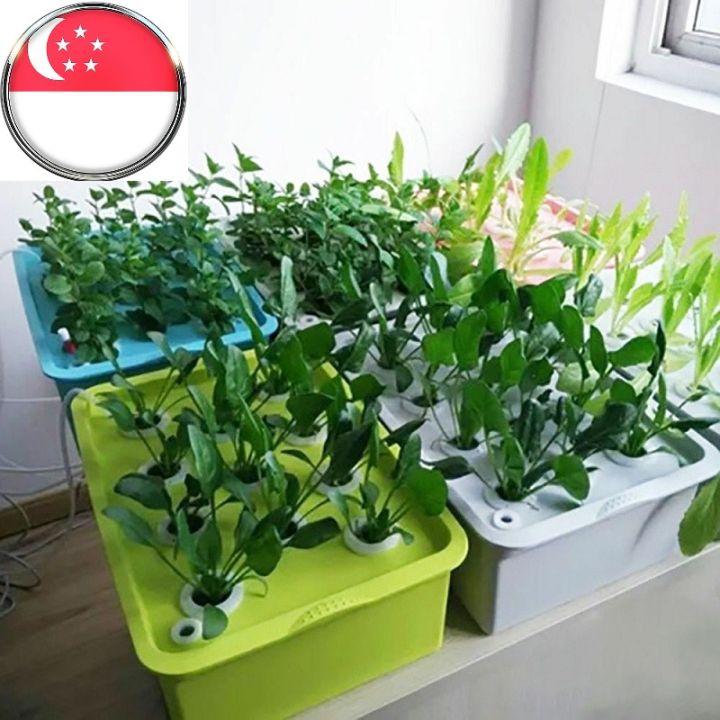 🇸🇬 SG Stock 】 Set No Pump 11 Holes Hydroponic Plant kit Hydroponic ...