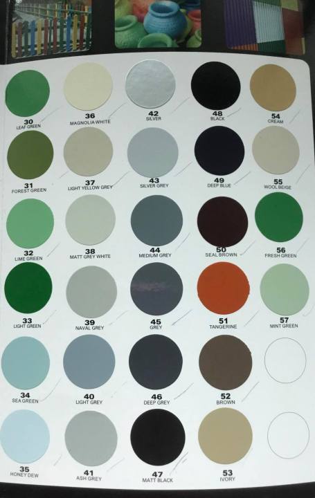 Pylox Spray Paint Solid Colors 400mL | Lazada PH