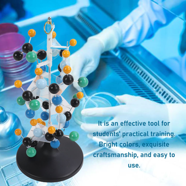 Protein Molecular Model Good Stability Protein Structure Model QH3212‑2 ...