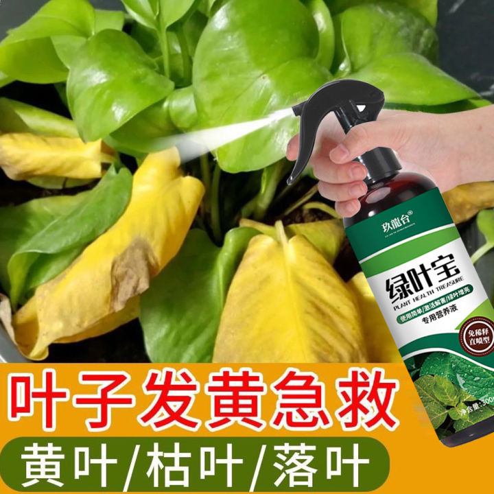 Liquid Fertilizer For Leaf Fertilizer Spray 300ML Ready Use 免稀释一喷绿 ...