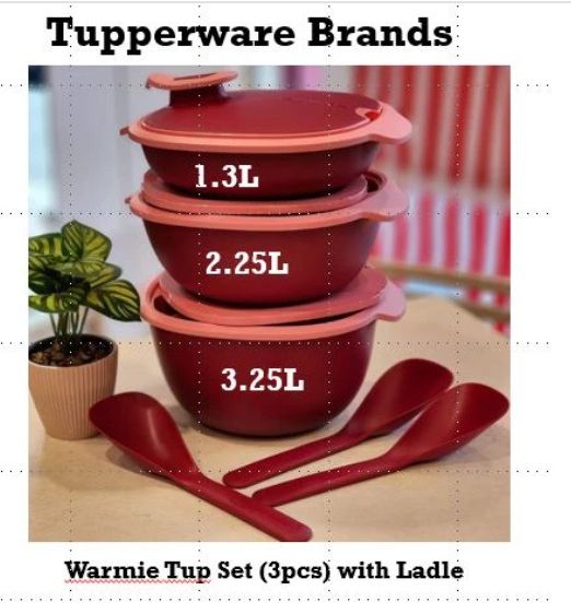 Tupperware Warmie Tup with Serving Spoon Full Set | Lazada Singapore