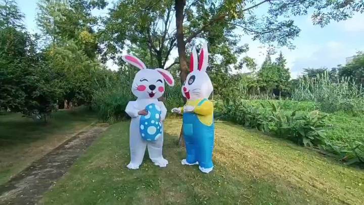 Easter Rabbit Inflatable Clothing TikTok Same Style Rabbit Year Theme ...