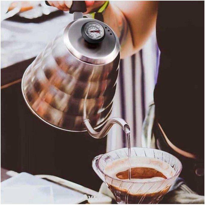 1.2L Steel Tea Coffee Kettle with Thermometer, Gooseneck Thin Spout for ...