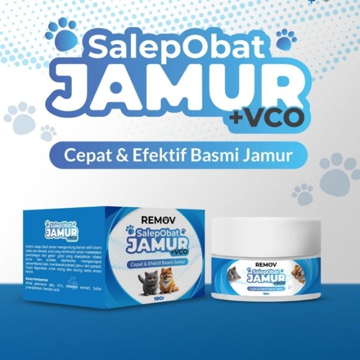 Remov Salep Jamur+VCO Efektif Mengatasi Jamur Gatal Luka Bakteri ...