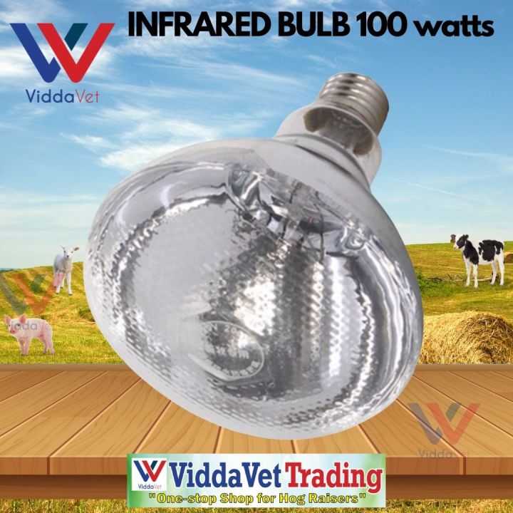 Infrared Heat Lamp Bulb for Livestock pigs poultry goat cattle bulb for ...