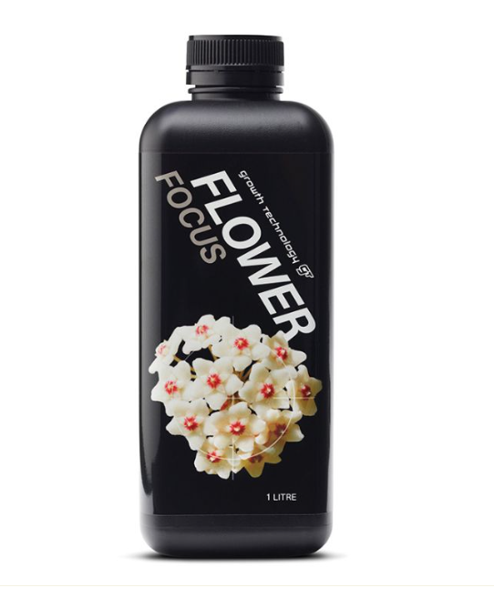 GT FLOWER FOCUS 250ml / 1L Premium Plant Food Soluble Fertiliser ...