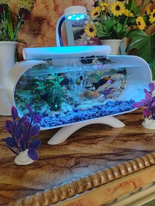 1 Set lengkap Aquarium Mini akrilik Lengkap Dengan mesin Oxygn Filter ...