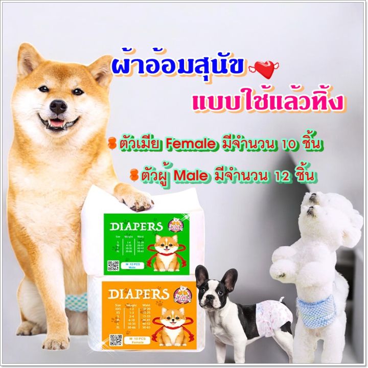 Boqi Factory ผ้าอ้อมสุนัข แบบใช้แล้วทิ้ง ชายและหญิง ชุดอุปกรณ์สำหรับสัตว์เลี้ยง ราคาต่อ 1 ถุง ...
