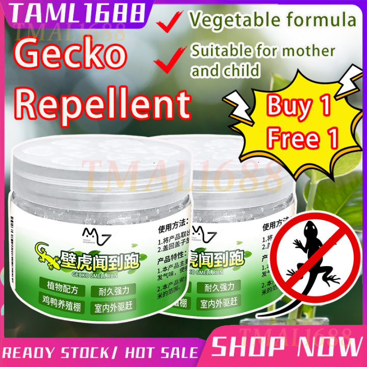 [ Buy 1 Get 1 Free] Lizard Repellent - Upgraded Plant Formula, Reusable ...