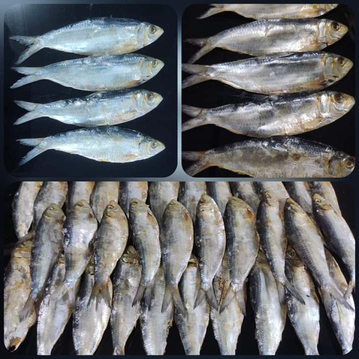 50 GRAMS -TUYONG SALINAS DRIED FISH TUYO - ALWAYS FRESH ON HAND READY ...