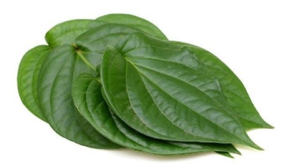 Fresh Buyo/Ikmo/Betel Leaves (20 pcs of fresh ikmo leaves) | Lazada PH