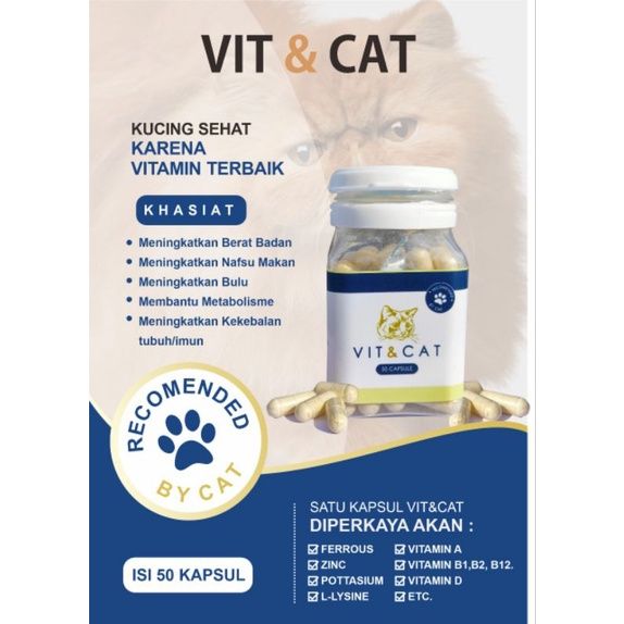 Vitamin Kucing Penambah Nafsu Makan Penggemuk Seketika Vit & Cat ...