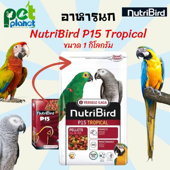[1kg.] อาหารนก Versele Laga Nutribird P15 อาหารนกแก้ว นกแก้วแอฟริกันเกร ...
