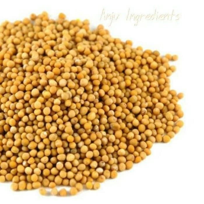 STOK BARU 250 G GR GRAM YELLOW MUSTARD SEED SEEDS BIJI SAWI KUNING ...