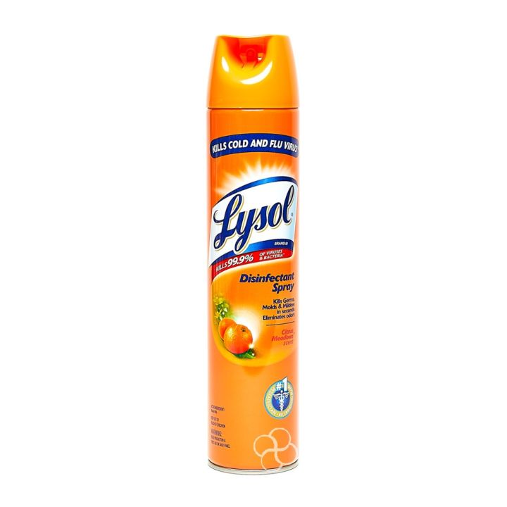 Lysol Citrus Meadows Scent Disinfectant Spray 510g | Lazada PH