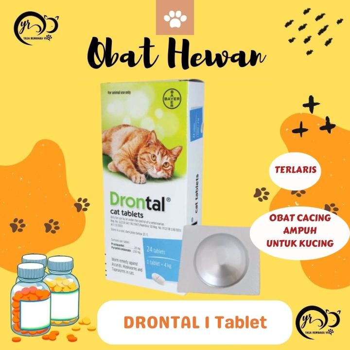DRONTAL CAT 1 Caps - Obat cacing Untuk Kucing | Lazada Indonesia