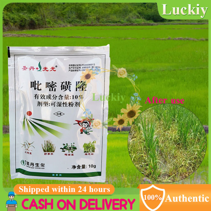 10PCS Bioherbicide Effective Rice Herbicide Kill Grass Herbicide Grass ...