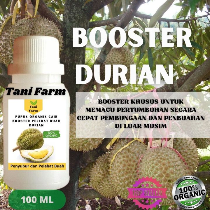 Pupuk Pelebat Durian Pupuk Booster Pelebat Buah Durian Obat Pelebat Buah Durian Organik Penyubur ...