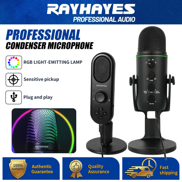 RAYHAYES Microphone Condenser microphone Media microphone professional ...