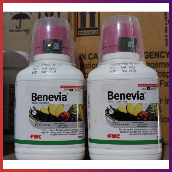 Benevia Insecticide 250ml | Lazada PH