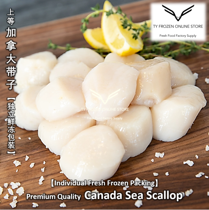 【Fresh Frozen】加拿大带子 l Canada Sea Scallop (上等 l Premium Quality) [500克 ...