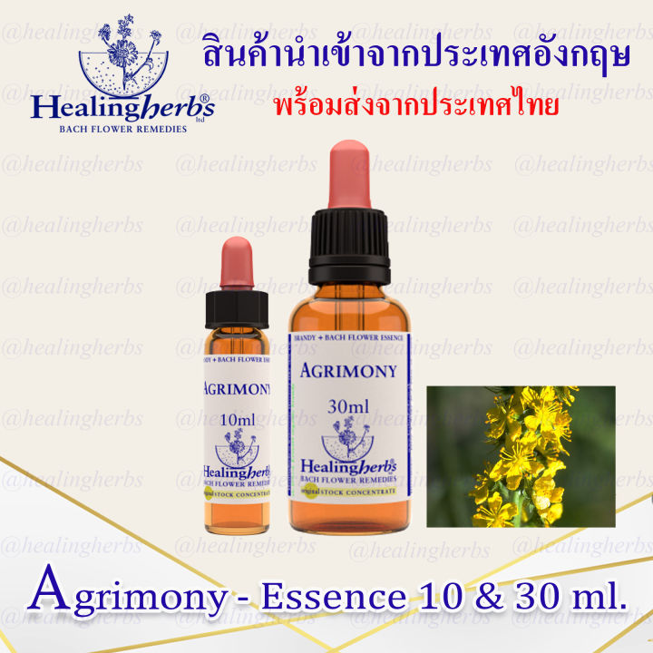 (Agrimony) Bach Flower Essence (droppler) ขนาด 10 ml. หรือ 30 ml. ของ ...
