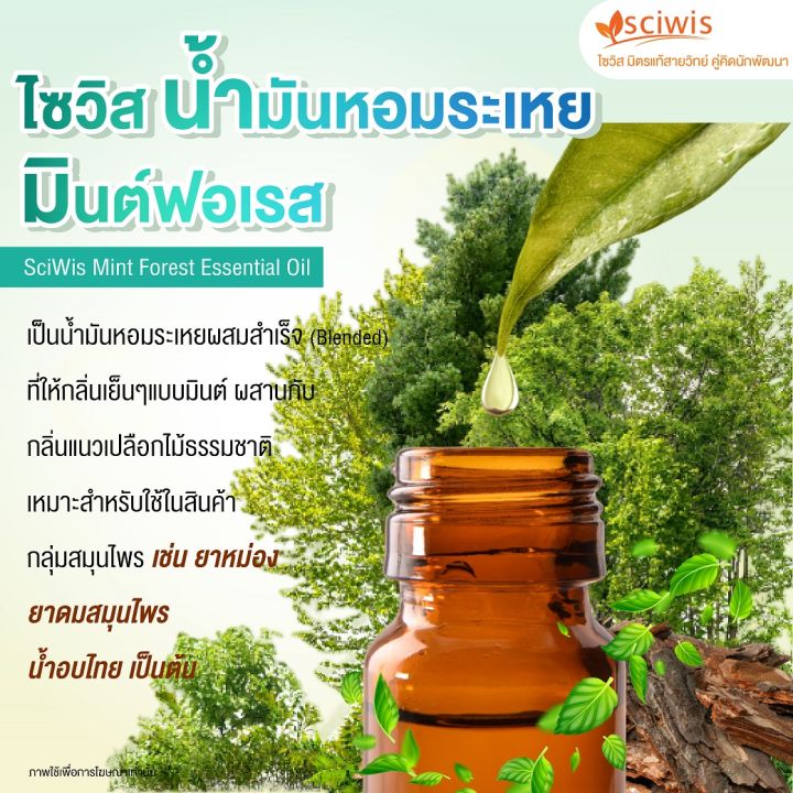 SWS-AC1302-A ไซวิส น้ำมันหอมระเหย มินต์ฟอเรส (SciWis Mint Forest Essential Oil) | Lazada.co.th
