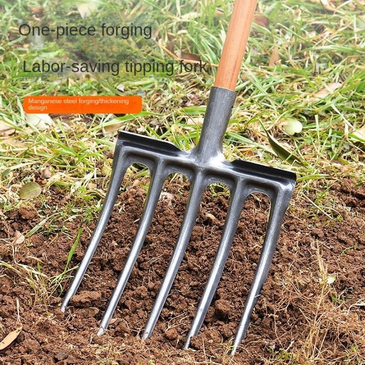 Agricultural Earth-Turning Pine Artifact Four-Tooth Steel Fork Open up ...