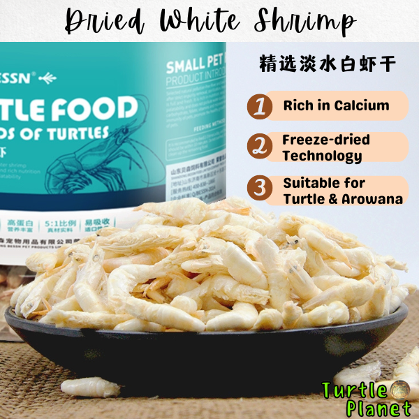Dried White Shrimp for Turtle Makanan Kura Kura Arowana Fish Food Pet ...