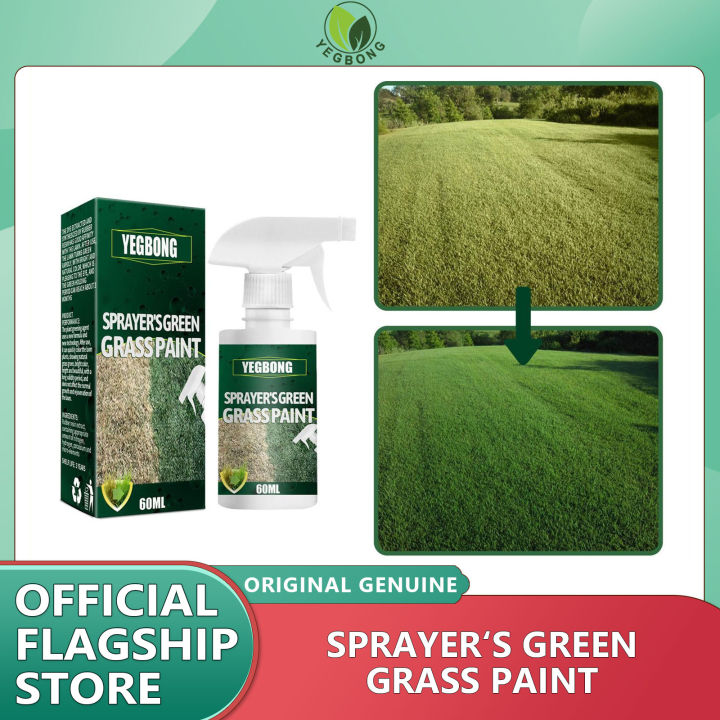 YEGBONG Green Grass Spray Long Lasting Green Lawn Dye Repair Grass ...