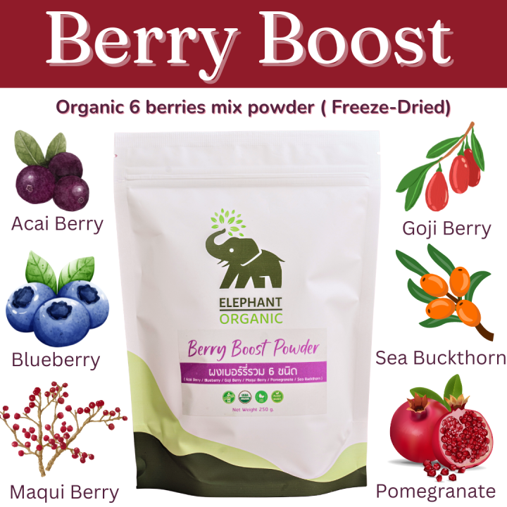 BERRY BOOST - Organic Berry Powder - antioxidants - anti-aging - vegan ...