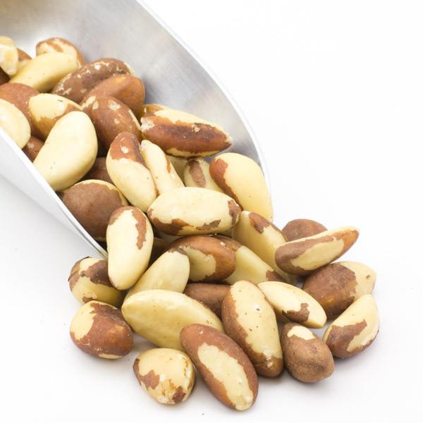IMPORTED RAW BRAZIL NUTS 50 GRAMS | Lazada PH