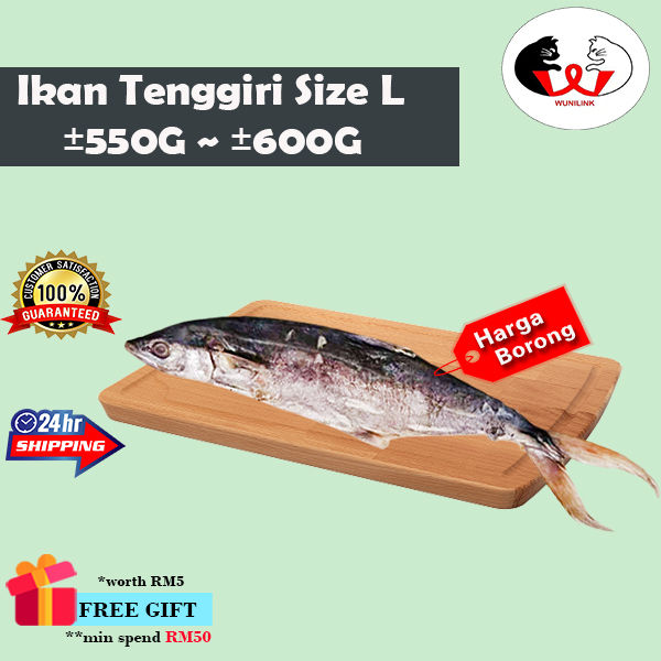 Ikan Tenggiri Jeruk Masam - Size L [±550GM ~ ±600GM] | Lazada