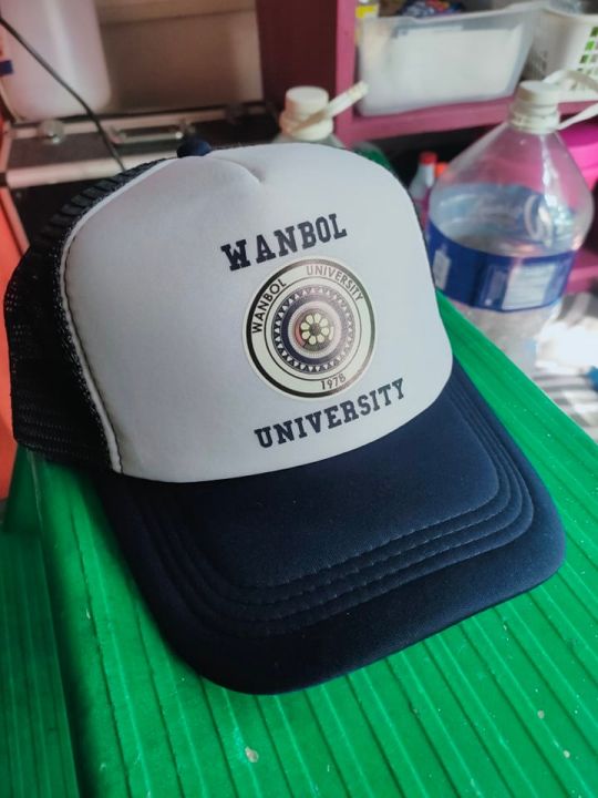 Wanbol University Novelty Trucker Snap-back Baseball Cap Adjustable Net ...