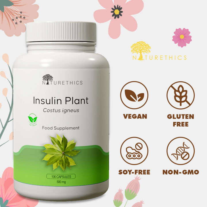 Naturethics Insulin Plant Capsules for Blood Sugar (Anti diabetes ...