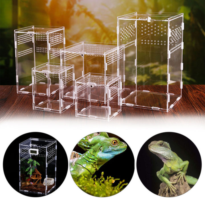 Acrylic Reptile Breeding Box Insect Landscaping Feeding Box for Spider ...