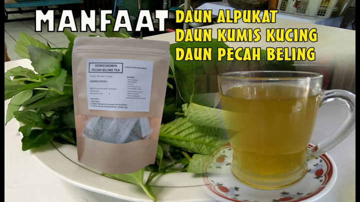 Teh Daun Pecah Beling Home Grown Black Face General Leaf Herbal Tea ...