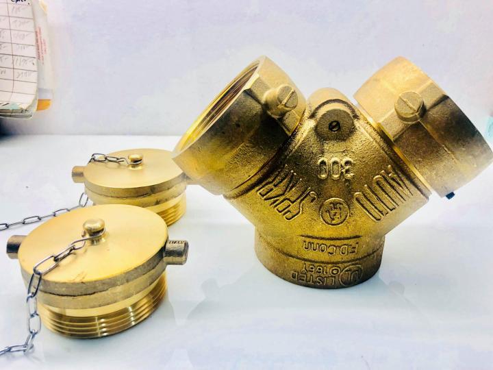 Siamese Twin 2 1/2 x 2 1/2 x 2 1/2'' inch Fire Department Connection Dry Stand65 x 65 x 65mm ...