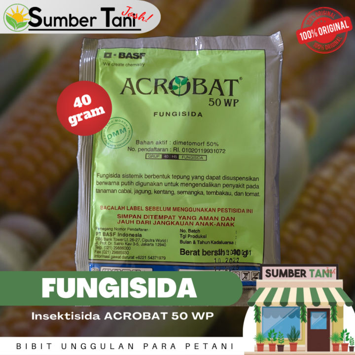 Fungisida Acrobat 50 WP 40gr | Lazada Indonesia