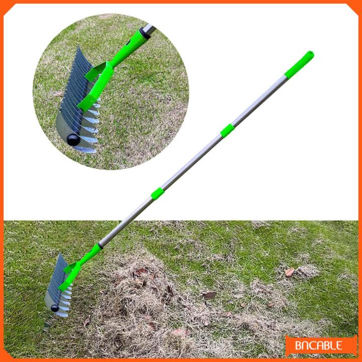 BNCABLE Lawn Thatching Rake Ergonomic Leaf Rake Dethatcher Rake for ...