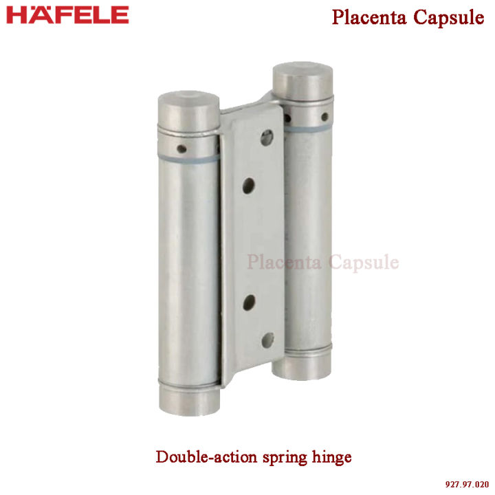 Hafele Double-action spring hinge | Lazada PH