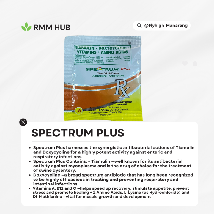 SPECTRUM PLUS 5G - RMM HUB | Lazada PH