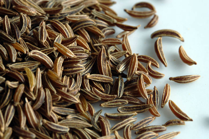 caraway seeds rempah sajira (Carum Carvi) merudian persian cumin biji ...