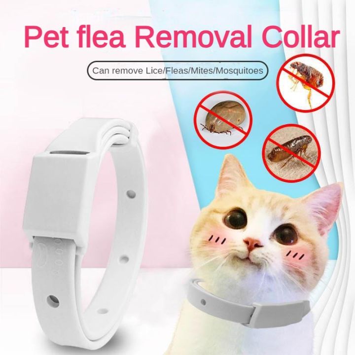 Pets Flea Tick Collar Dog Cat Adjustable Anti-tick Collar Cat Ring ...
