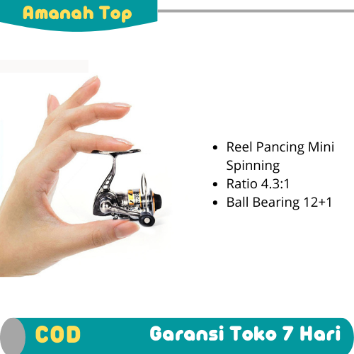 Reel Pancing Mini Spinning Fishing Reel 4.3:1 Gear Ratio - MN100 ...
