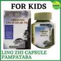LingZhi Chuang Yao Wan Vitamins Ling Zhi Original Pampataba Vitamins ...