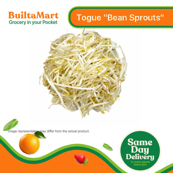 Togue "Bean Sprouts" (250g) | Lazada PH